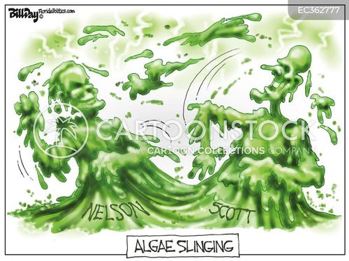 Algae Cartoons and Comics - funny pictures from CartoonStock