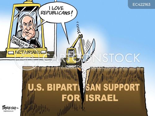 Bipartisan Divide Cartoons and Comics - funny pictures from CartoonStock