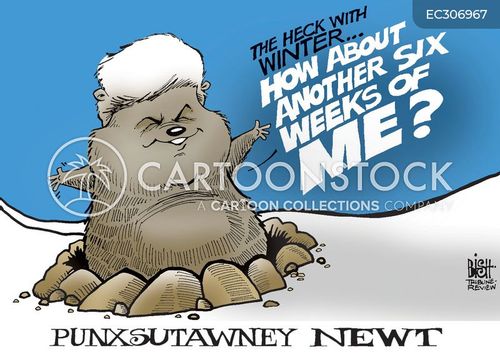 Florida Primary Cartoons and Comics - funny pictures from CartoonStock