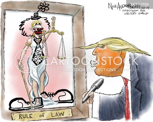 Rule Of Law Cartoons and Comics - funny pictures from CartoonStock