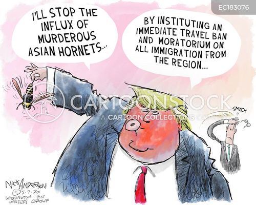 Cartoon Insect Cartoons and Comics - funny pictures from CartoonStock