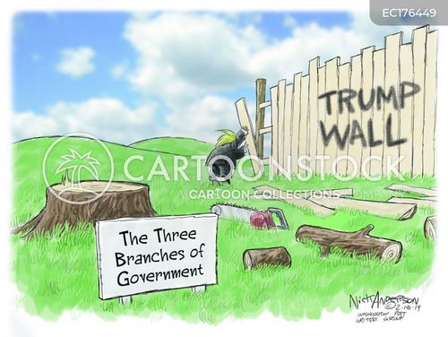 Three Branches Of Government Cartoons and Comics - funny pictures from ...