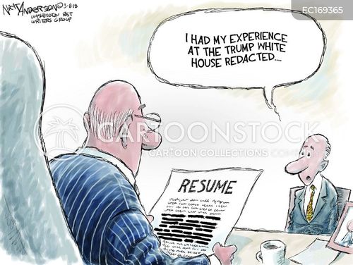 Hillary's Whitehouse Experience Cartoons and Comics - funny pictures ...