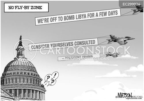 Airspace Control Cartoons and Comics - funny pictures from CartoonStock