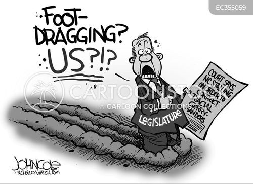 Racial Gerrymander Cartoons and Comics - funny pictures from CartoonStock