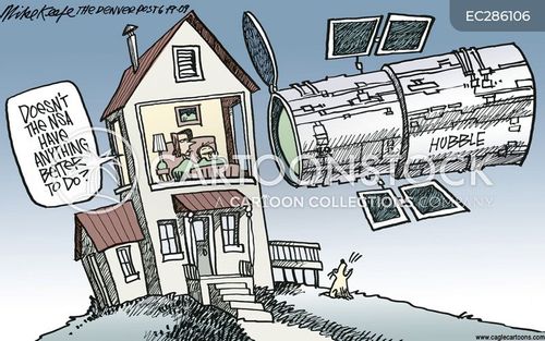 Nsa Domestic Spying Cartoons and Comics - funny pictures from CartoonStock