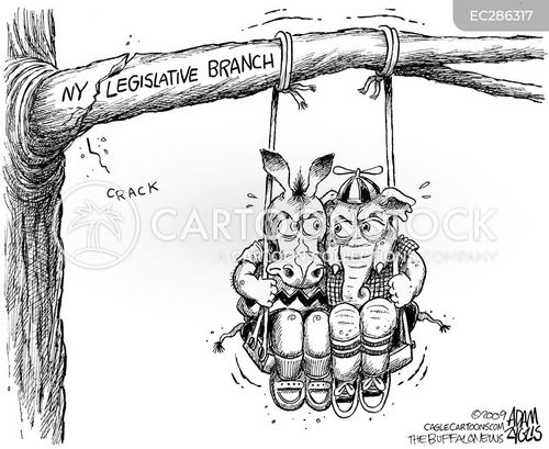 New York Senators Cartoons and Comics - funny pictures from CartoonStock