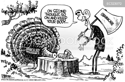 Ironic Turkey Request Cartoons and Comics - funny pictures from ...