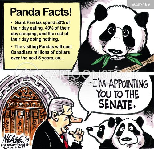 Bamboo Plant Cartoons and Comics - funny pictures from CartoonStock