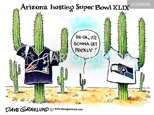 Seahawks Cartoons and Comics - funny pictures from CartoonStock