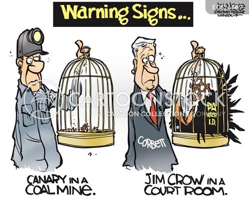 Voting Procedures Cartoons and Comics - funny pictures from CartoonStock