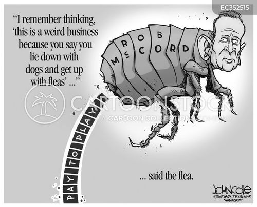 Treasurer Cartoons and Comics - funny pictures from CartoonStock