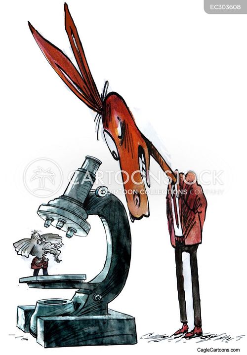 Political Ehtics Cartoons and Comics - funny pictures from CartoonStock