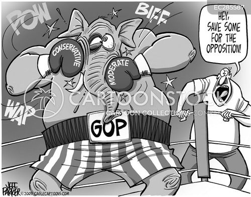 Internal Control Cartoons and Comics - funny pictures from CartoonStock