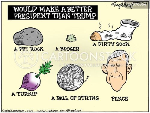 Pet Rock Cartoons and Comics - funny pictures from CartoonStock