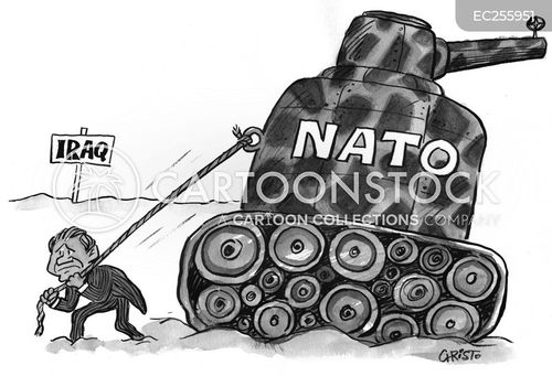 Peacekeeping Operations Cartoons and Comics - funny pictures from ...