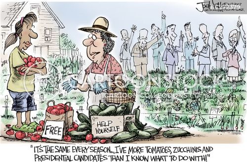 Third-party Candidates Cartoons and Comics - funny pictures from ...