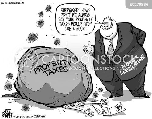 Florida Market Cartoons and Comics - funny pictures from CartoonStock