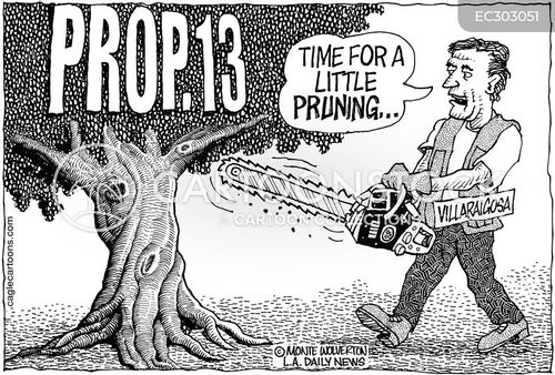 Ballot Measure Cartoons and Comics - funny pictures from CartoonStock