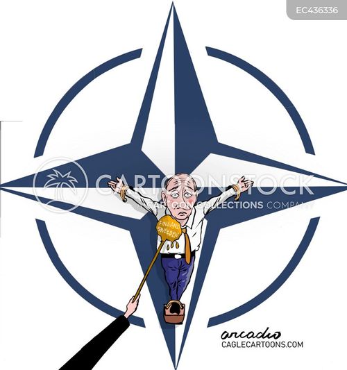 Territorial Conflicts Cartoons and Comics - funny pictures from ...