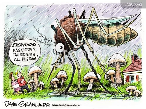 Dampness Cartoons and Comics - funny pictures from CartoonStock