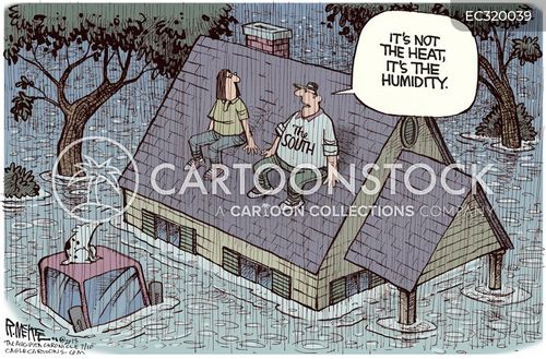 Drainage System Cartoons and Comics - funny pictures from CartoonStock