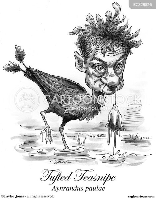 Snipe Cartoons and Comics - funny pictures from CartoonStock