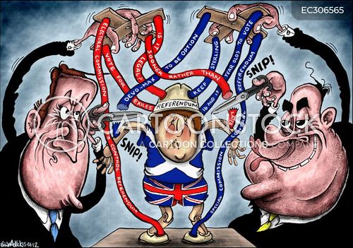 Referendum C Cartoons and Comics - funny pictures from CartoonStock