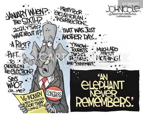 2020 Riot Cartoons and Comics - funny pictures from CartoonStock