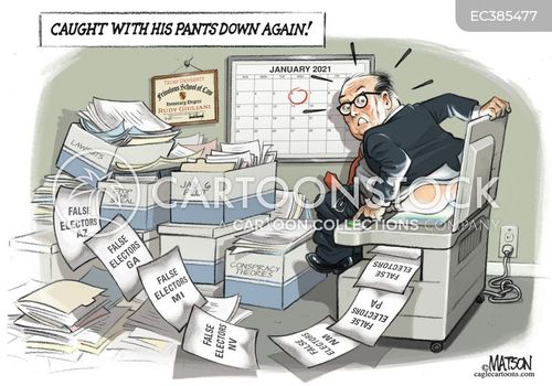 Fake Elector Plot Cartoons and Comics - funny pictures from CartoonStock