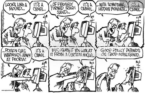 Intelligence Analysis Cartoons and Comics - funny pictures from ...