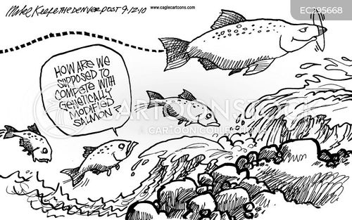 Salmon Farming Cartoons and Comics - funny pictures from CartoonStock