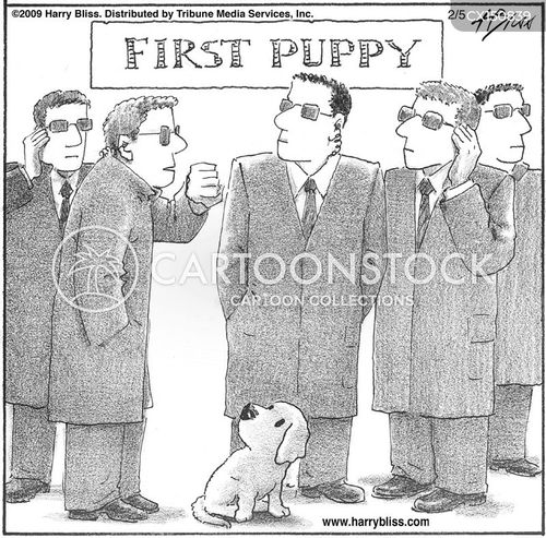 Vip Security Cartoons and Comics - funny pictures from CartoonStock