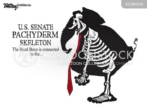 Political Animal Cartoons and Comics - funny pictures from CartoonStock