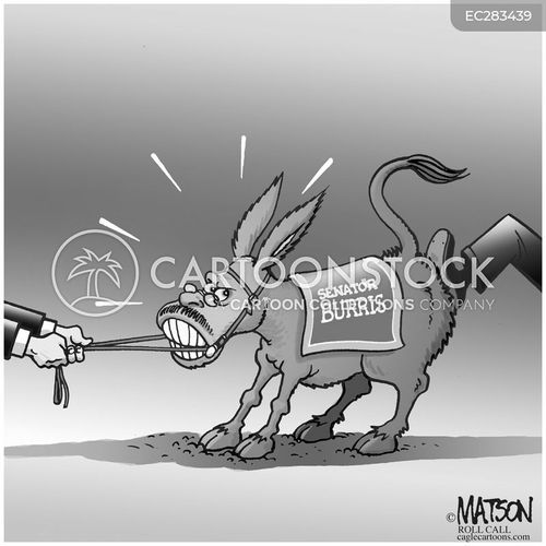 Senator Burro Cartoons and Comics - funny pictures from CartoonStock