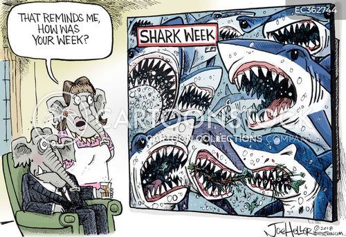 Shark Week Cartoons and Comics - funny pictures from CartoonStock