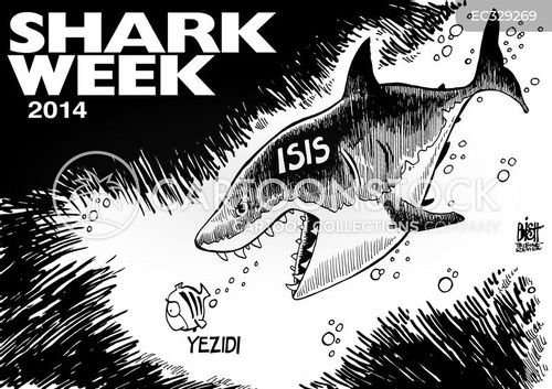 Shark Week Cartoons and Comics - funny pictures from CartoonStock