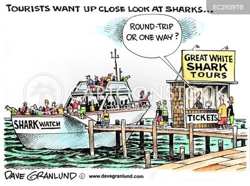 Marine Tourism Cartoons and Comics - funny pictures from CartoonStock