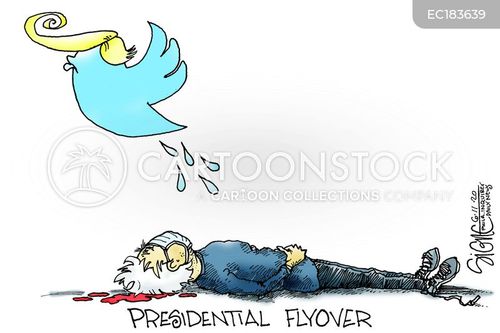 Flypast Cartoons and Comics - funny pictures from CartoonStock