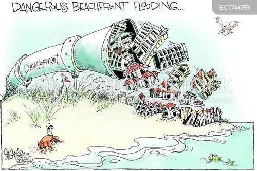 Beach Hazard Cartoons and Comics - funny pictures from CartoonStock