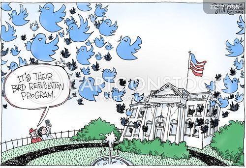 Birds In Cartoons Cartoons and Comics - funny pictures from CartoonStock