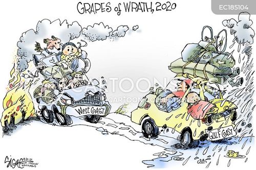 Hurricane Warning Cartoons and Comics - funny pictures from CartoonStock