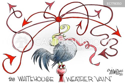 Vain Poodle Cartoons and Comics - funny pictures from CartoonStock