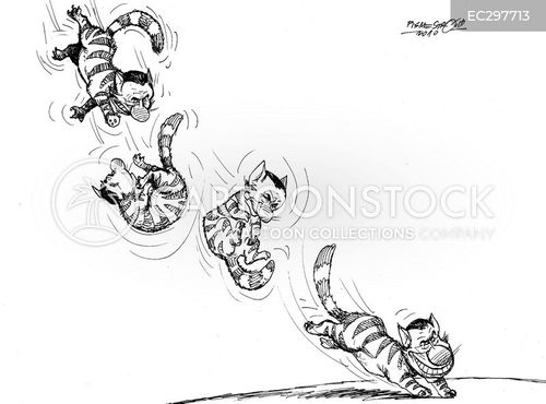 Tomcat Cartoons and Comics - funny pictures from CartoonStock