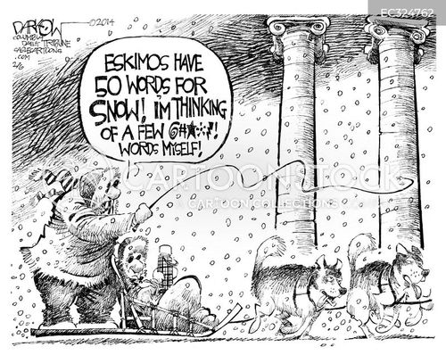 Snowy Competition Cartoons and Comics - funny pictures from CartoonStock