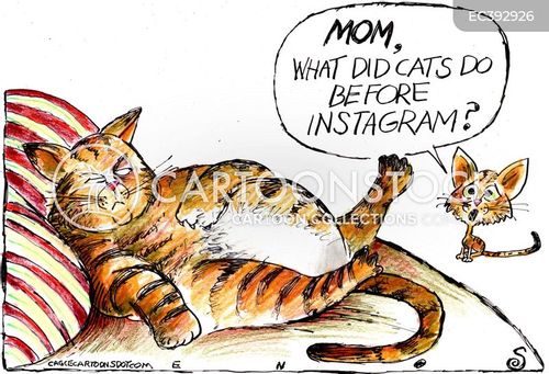 Instagrammable Cartoons and Comics - funny pictures from CartoonStock