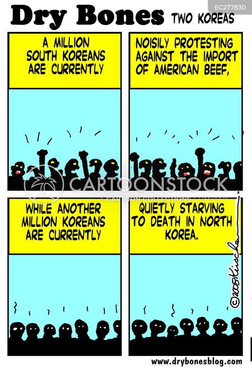 Korean Division Cartoons and Comics - funny pictures from CartoonStock