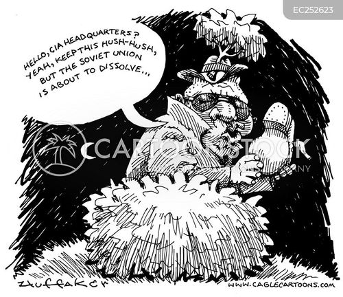 Covert Mission Cartoons and Comics - funny pictures from CartoonStock