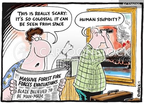 Stupidity Cartoons and Comics - funny pictures from CartoonStock