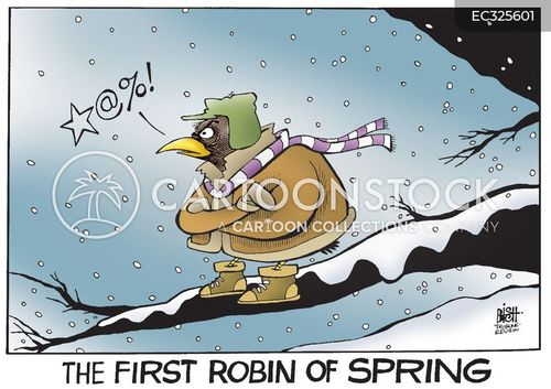 Spring Snow Storm Cartoons